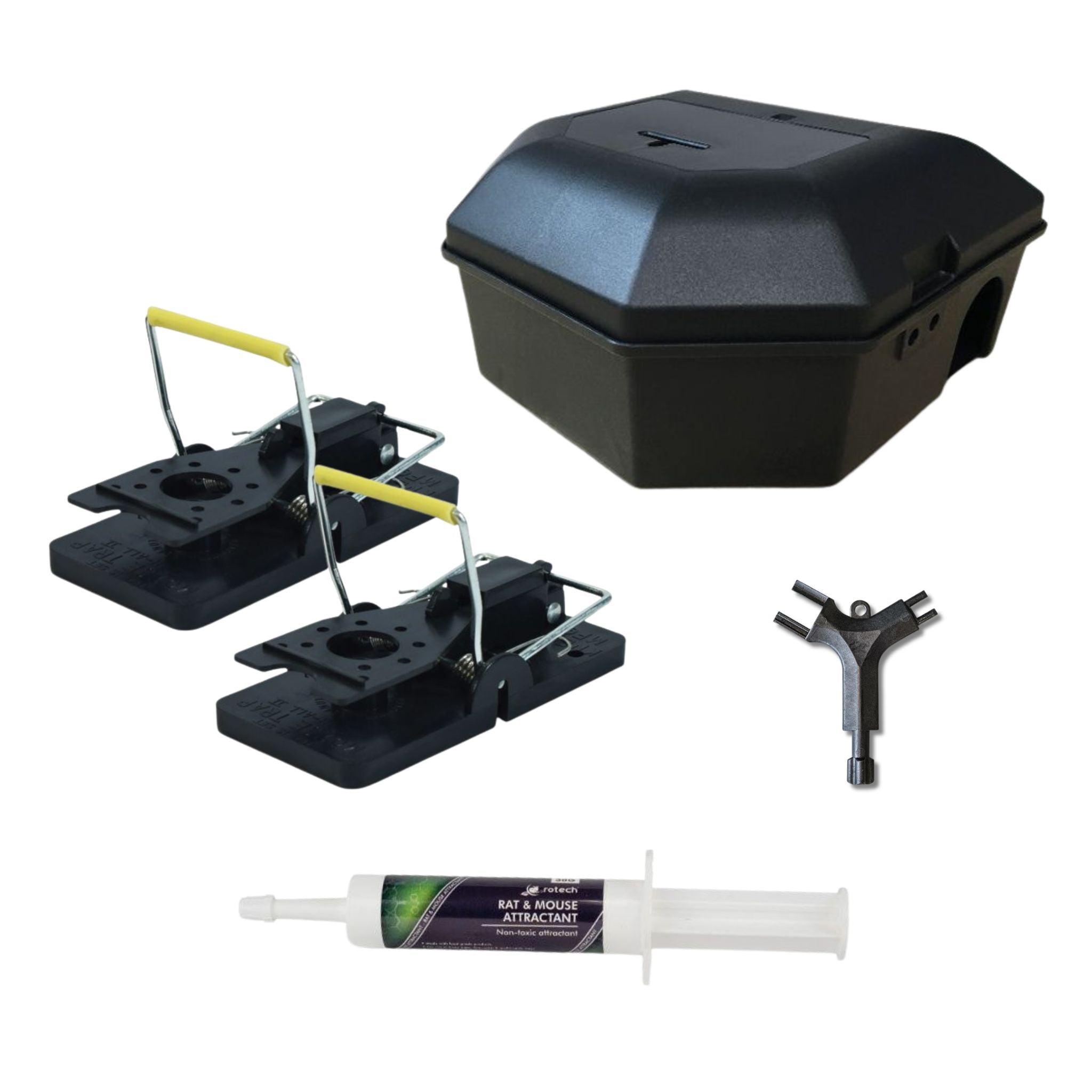 How to Set Up a Mouse Trap: An Easy to Follow Guide – PestBuddy