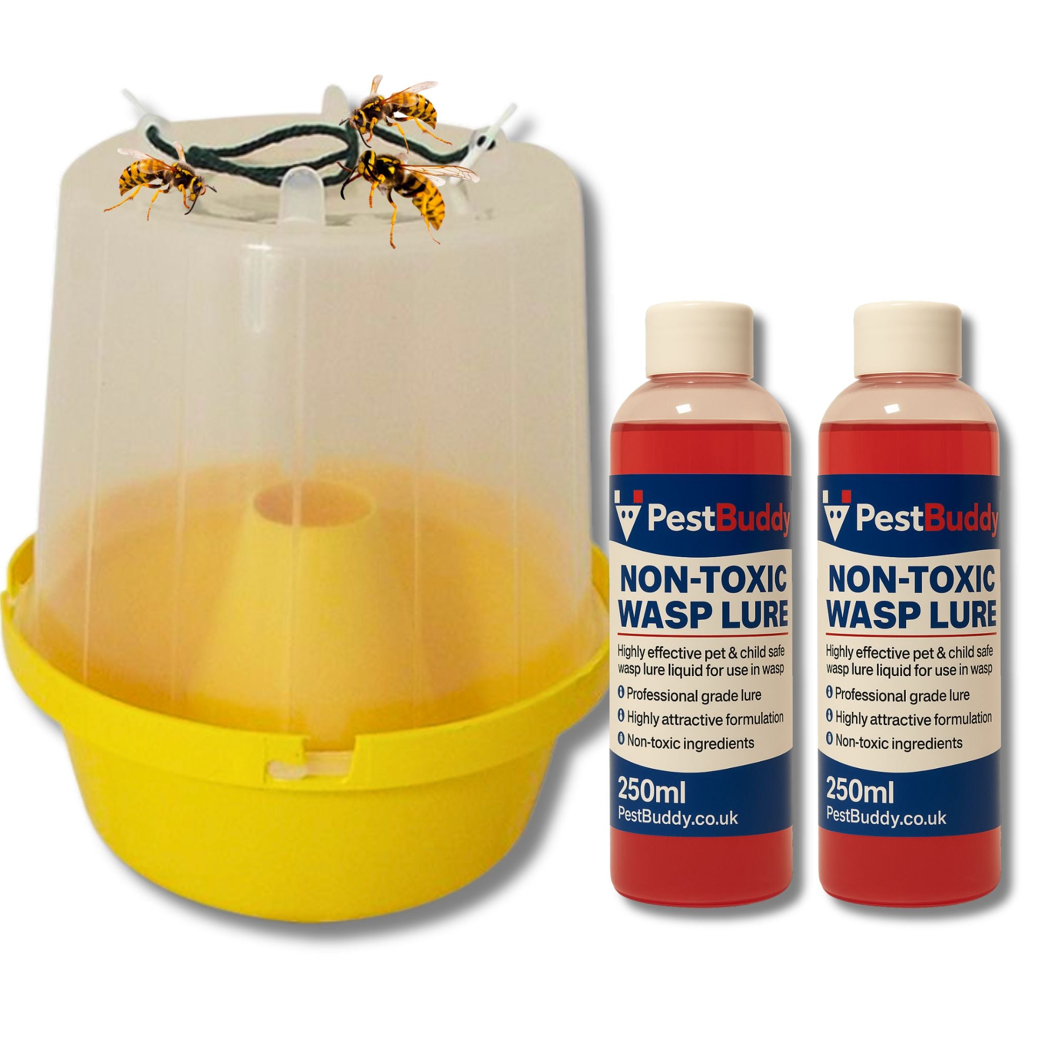 Wasp Traps | Buy Online – PestBuddy